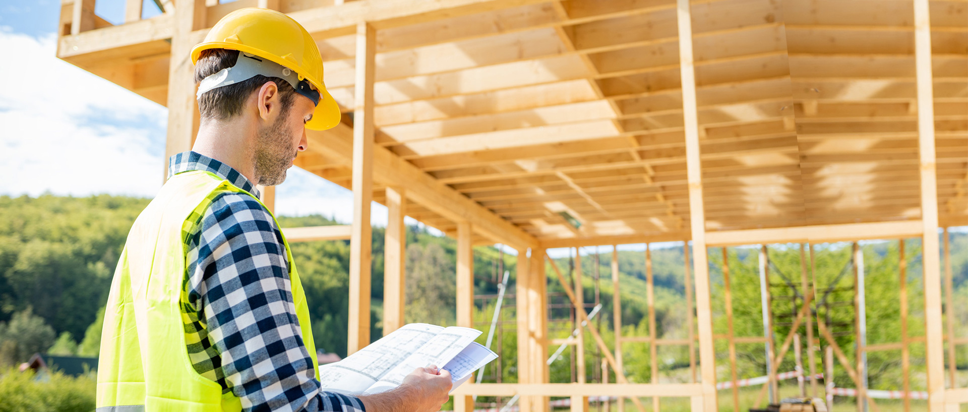 Ground Up - Bluebird